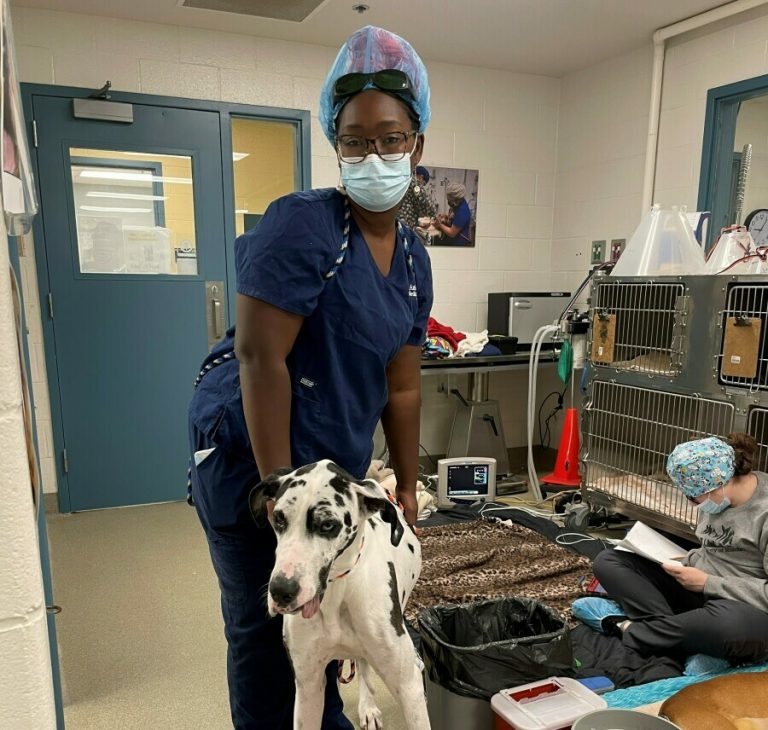 National Vet Tech Week Spotlight | Ahriel Kemp | AMCMA