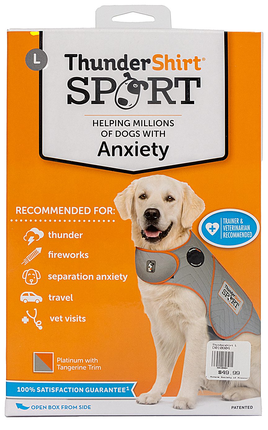 Severe Weather Pet Safety Tips | Animal Medical Center of Mid-America