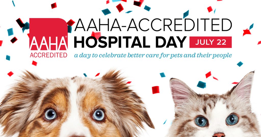 AAHA-Accredited Hospital Day | Animal Medical Center of Mid-America